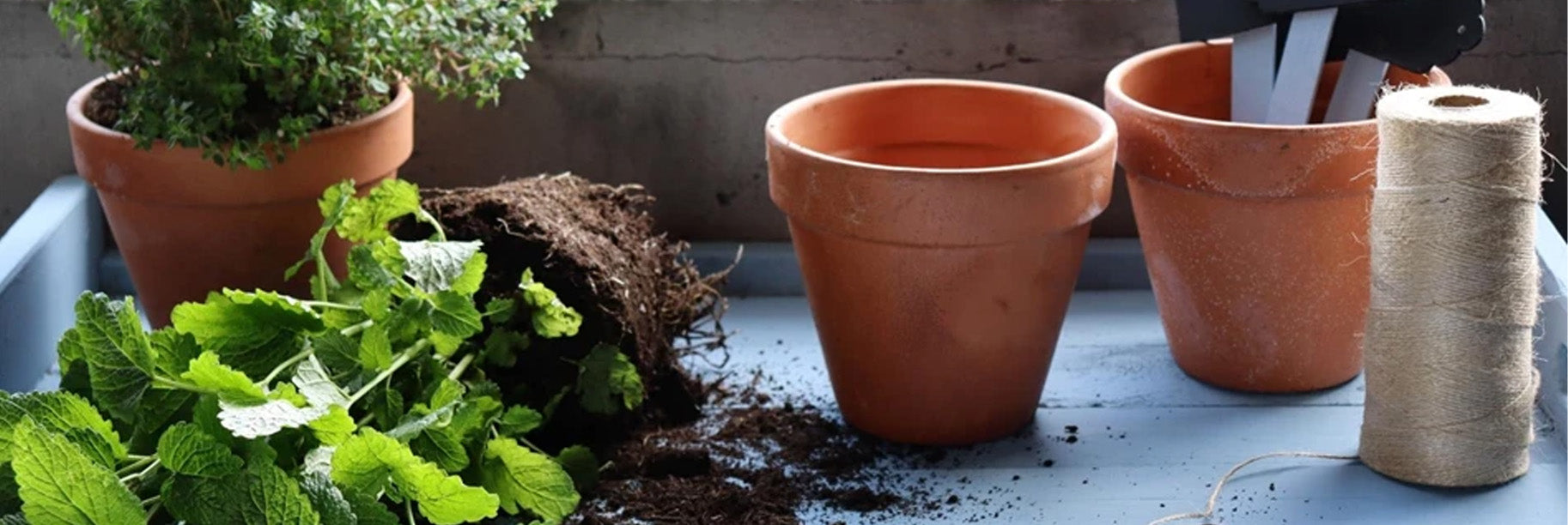 Make your own potting table – Talens Australia