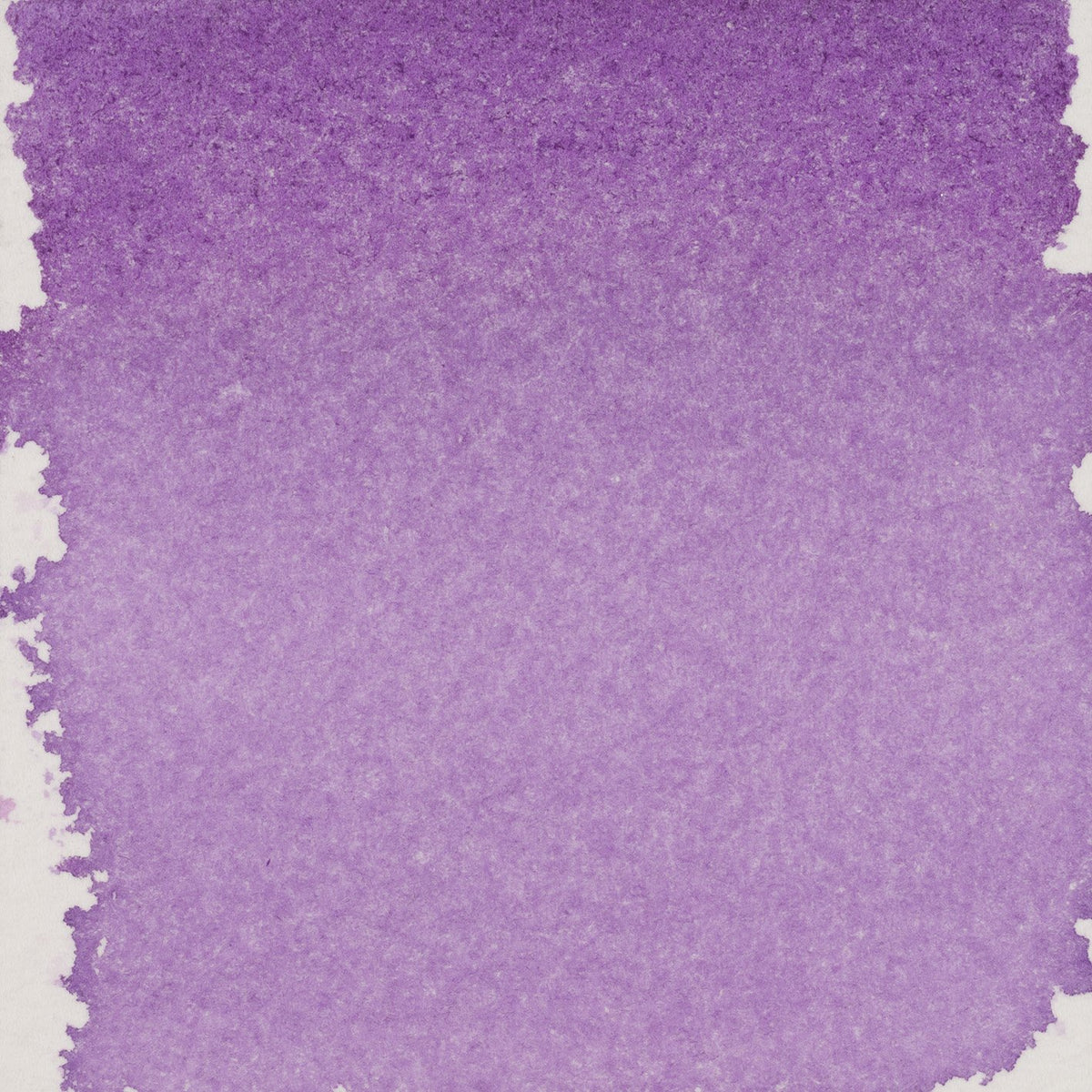 Talens Pantone Refill 30ml 2577 – Talens Australia